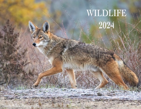 Nicole Wilde 2024 Wildlife Photography Calendar