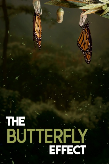 Butterfly Effect Movie Quotes