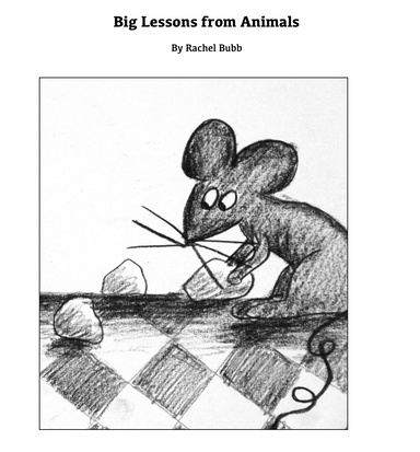 Big Lessons From Animals