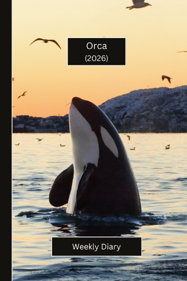 Orca Weekly Diary 2026