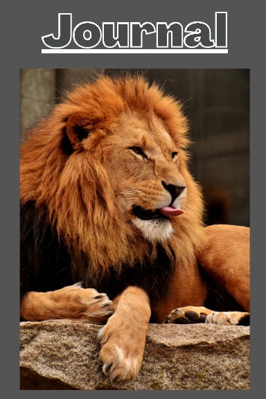 lion journal series 3 with a dark gray background