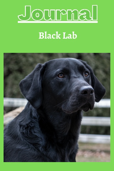 Black lab dog Journal series 1 with a grass green background