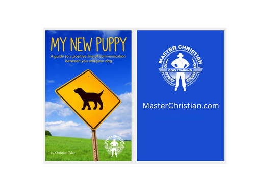 Christian Tyler - Books and Publications Spotlight | Lulu