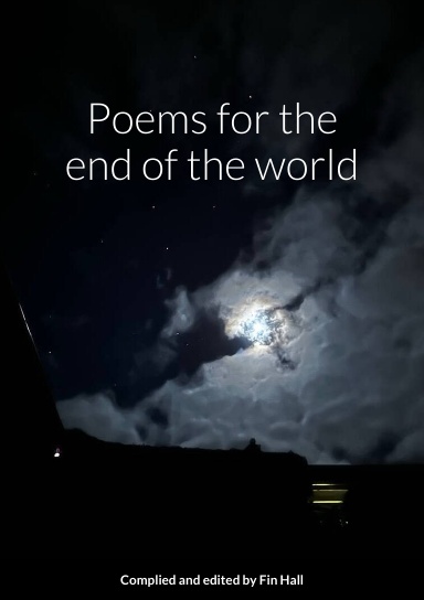 Poems for the end of the world