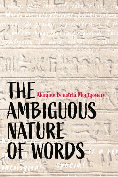 The Ambiguous Nature of Words