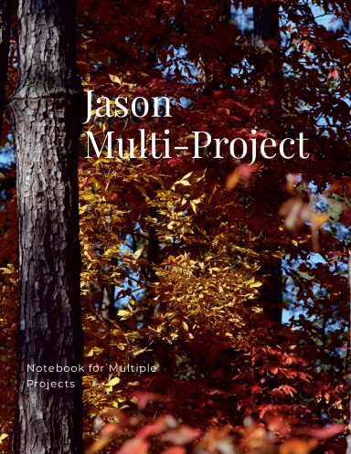 Jason Multi-Project