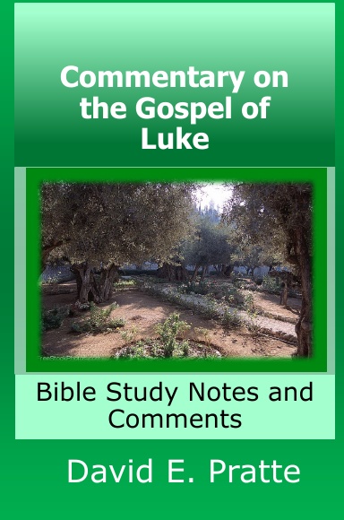 Luke Bible Study Commentary