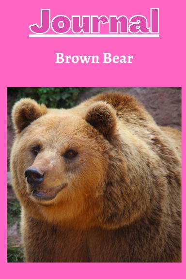 brown bear journal series 3 with a pink background