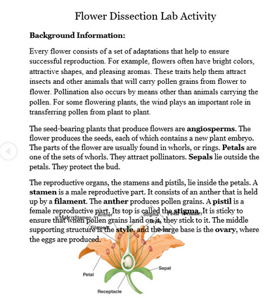 Flower Dissection Lab Activity Answer Key | Best Flower Site