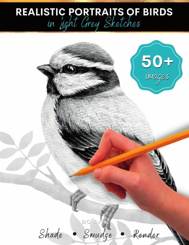 Realistic Portraits of Birds in Light Grey Sketches