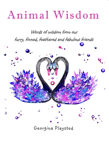 Animal Wisdom