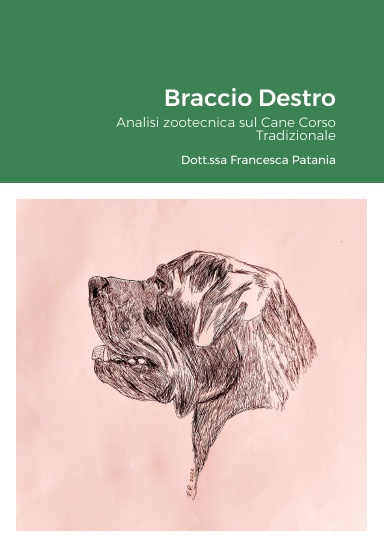 Braccio Destro