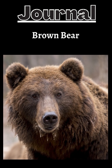 brown bear journal series 2 with a black background