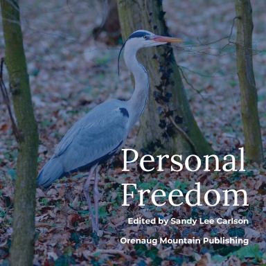 Personal Freedom