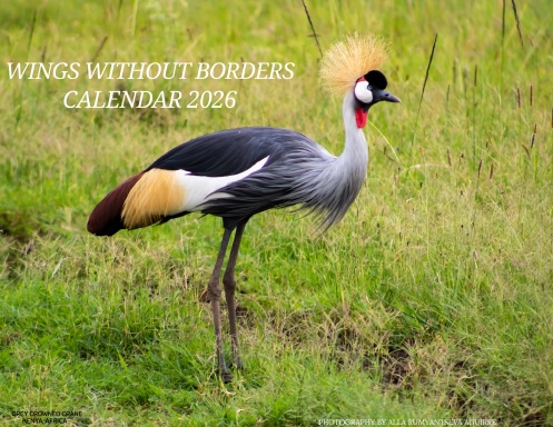 Wings without borders Calendar 2026