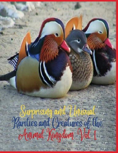 Surprising and unusual rarities and creatures of the Animal Kingdom. Vol. 1