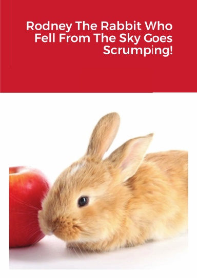 Rodney The Rabbit Who Fell From The Sky Goes Sailing on the Helford River!