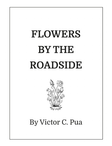 Flowers By The Roadside