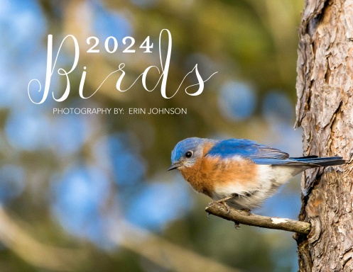 2024 Songbird Calendar