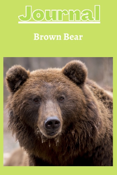 brown bear journal series 2 with a lime background