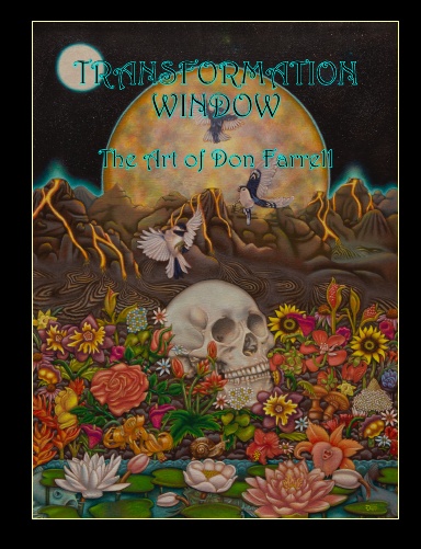 Transformation Window