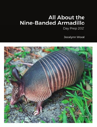 All About the Nine-Banded Armadillo